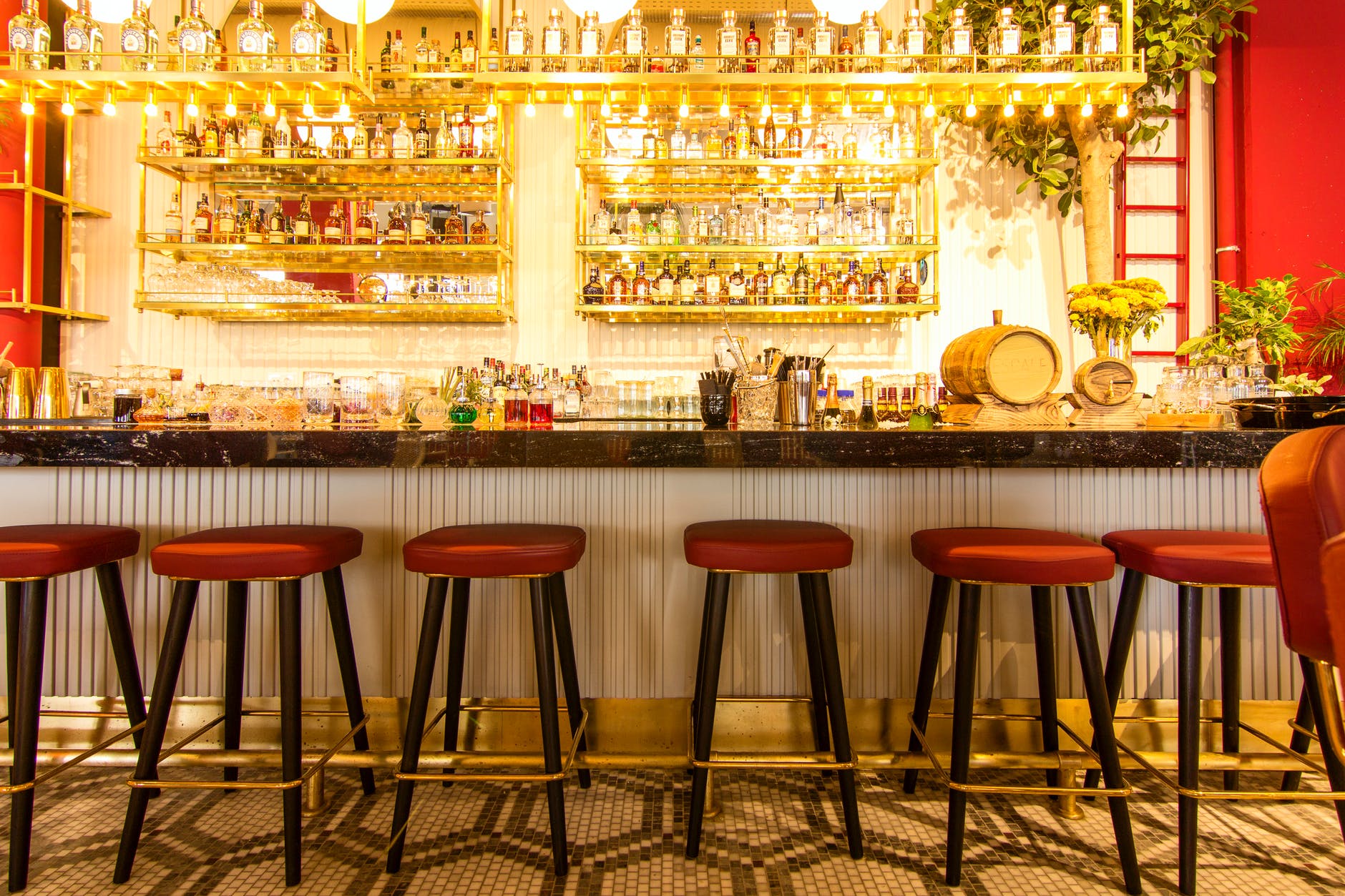 Bar a chat Paris : Top des lieux pour les amoureux des chats